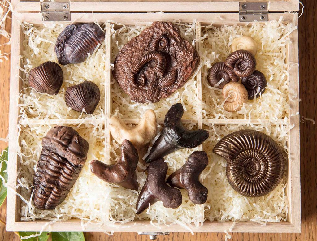 The Edible Museum > To Market